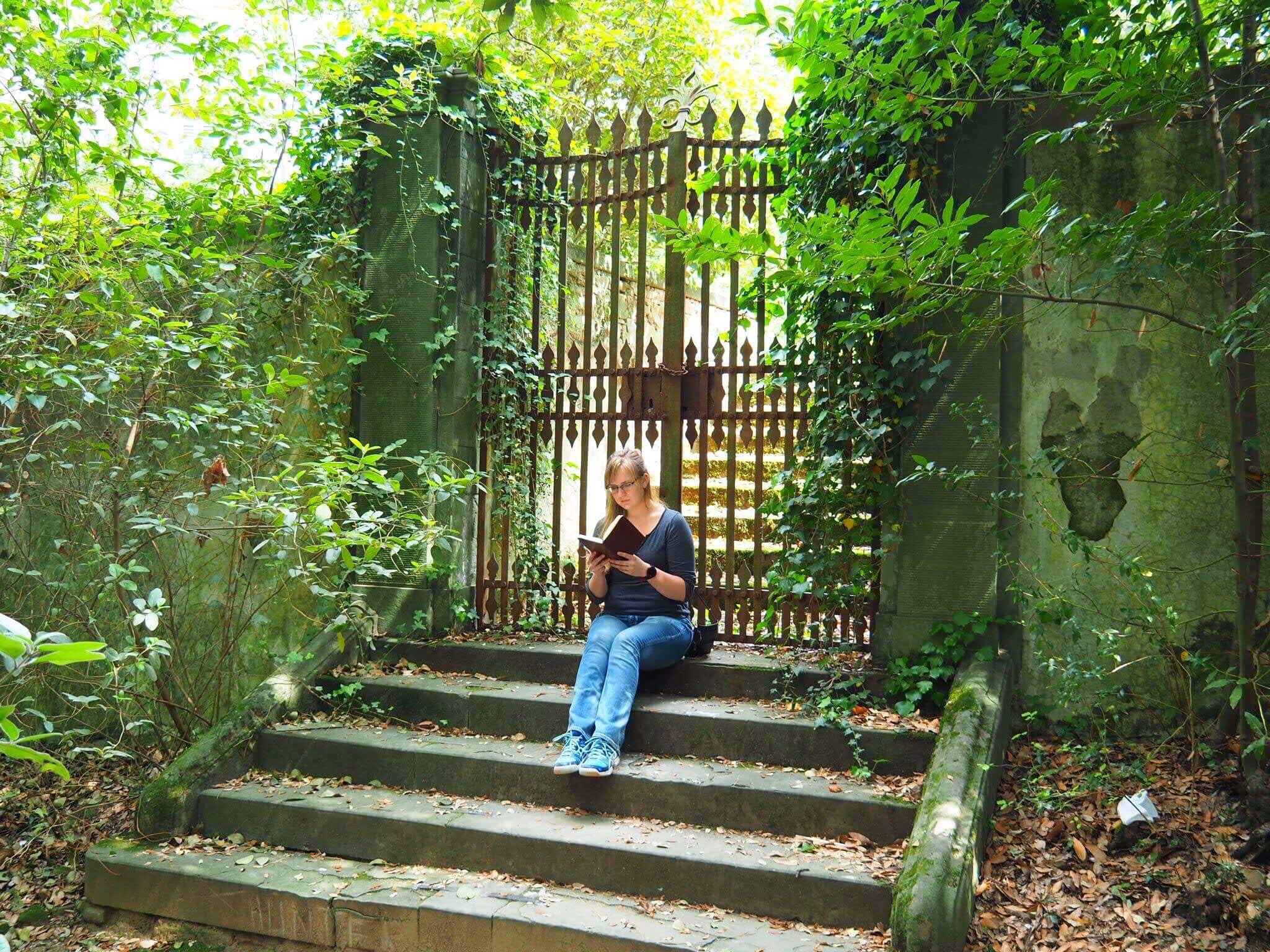 Meet the Family – My Neighbour's Garden